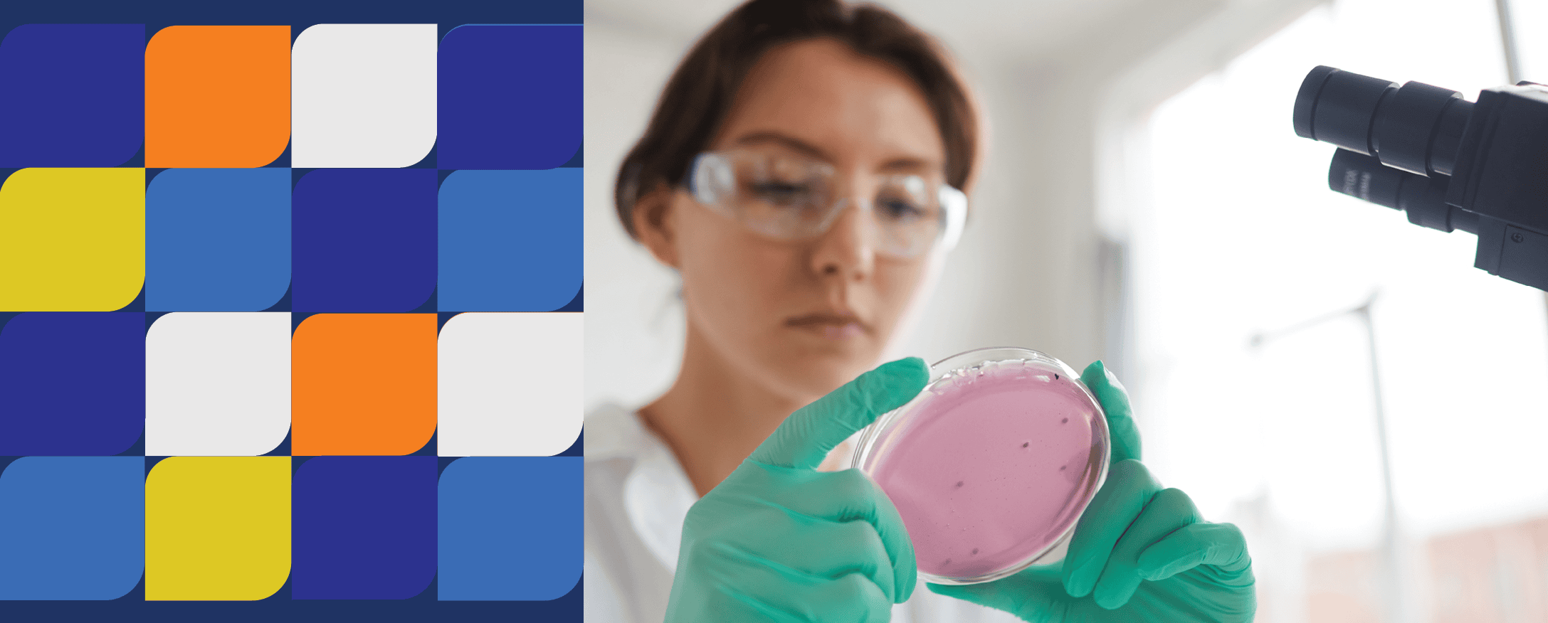 TRI Seminar Series: Immunology - Microbiome-immune interactions in ...