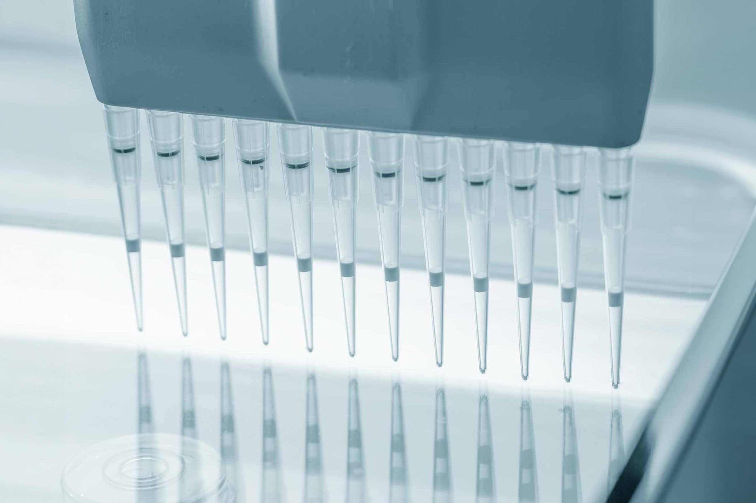 Human Immune Model facility